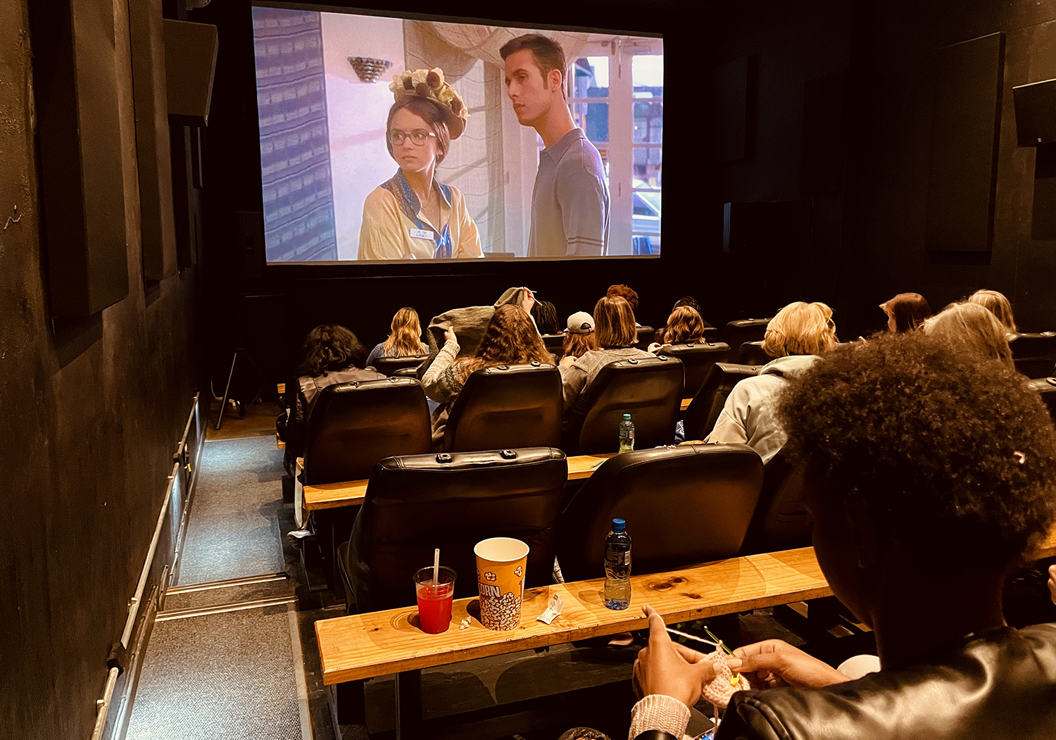 Knit-In Cinema – The Bioscope